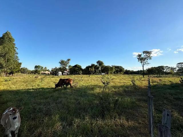 Sítio / Chácara para Venda em Campo Grande/MS Chácara das Mansões