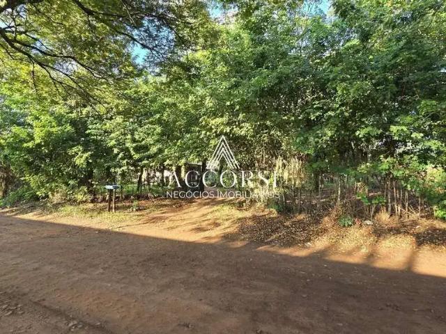 Sítio / Chácara para Venda em Campo Grande/MS Chácara dos Poderes 2 Quartos