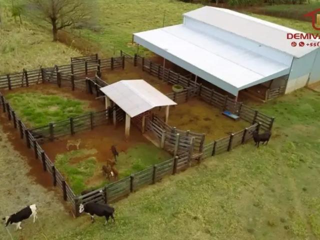 Sítio / Chácara para Venda em Campo Grande/MS Vila Planalto 5 Quartos