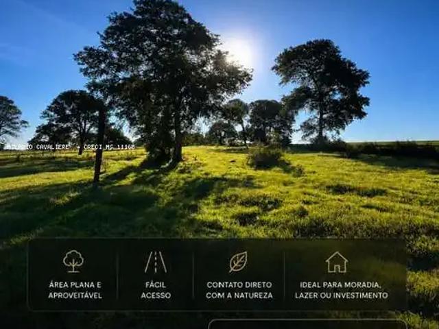 Sítio / Chácara para Venda em Campo Grande/MS Zona Rural