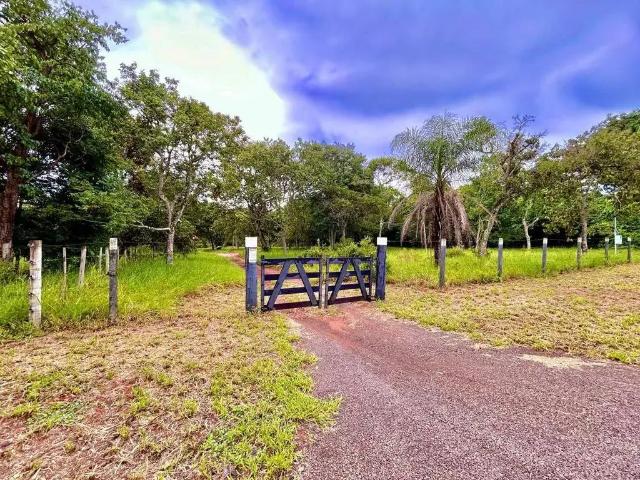 Sítio / Chácara para Venda em Campo Grande/MS Zona Rural 3 Quartos