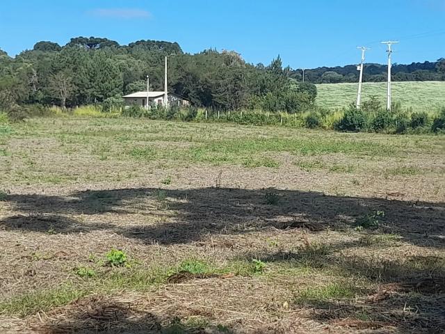 Sítio / Chácara para Venda em Campo do Tenente/PR Lageado