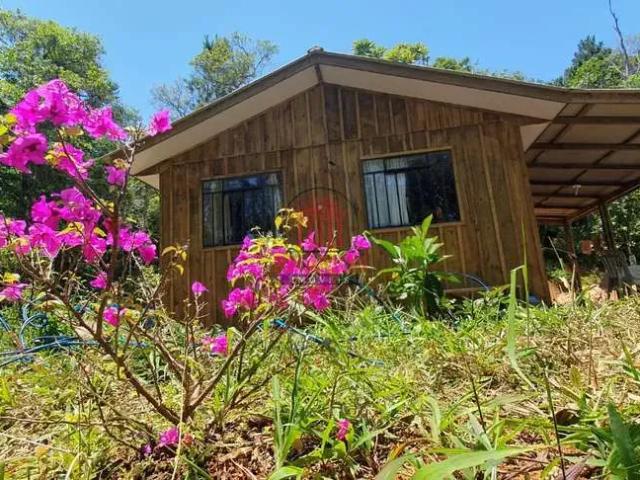 Sítio / Chácara para Venda em Campo Largo/PR Três Córregos