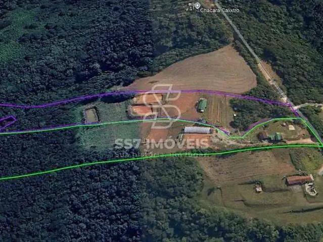 Sítio / Chácara para Venda em Campo Largo/PR Vila David Antônio 2 Quartos