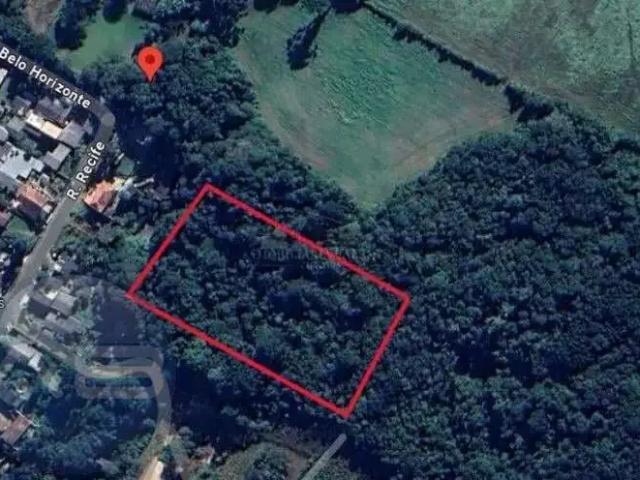 Sítio / Chácara para Venda em Campo Largo/PR Vila Glória