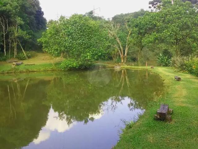 Sítio / Chácara para Venda em Campo Largo/PR Vila Itaqui