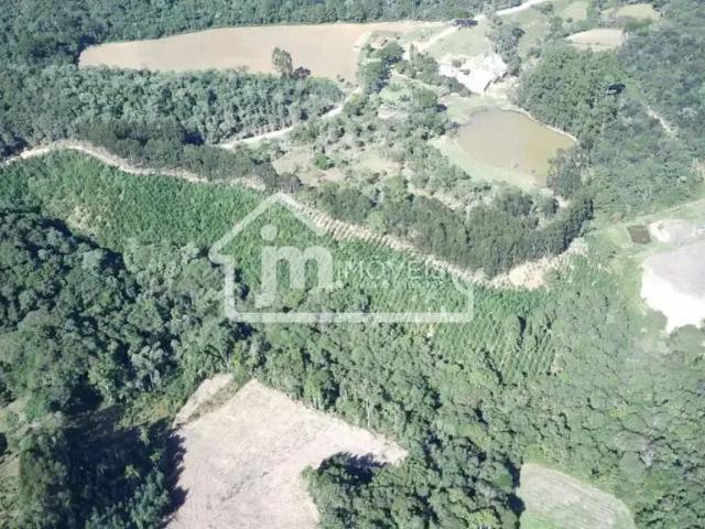 Sítio / Chácara para Venda em Campo Largo/PR Zona Rural