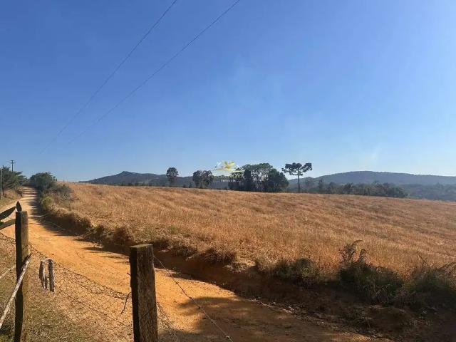 Sítio / Chácara para Venda em Campo Largo/PR Zona Rural 1 Quartos