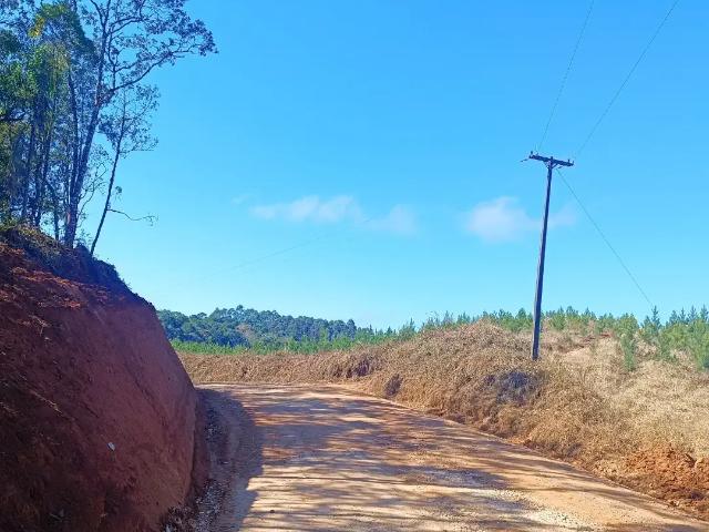 Sítio / Chácara para Venda em Campo Largo/PR Zona Rural
