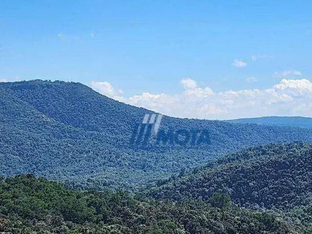 Sítio / Chácara para Venda em Campo Largo/PR Área Rural de Campo Largo