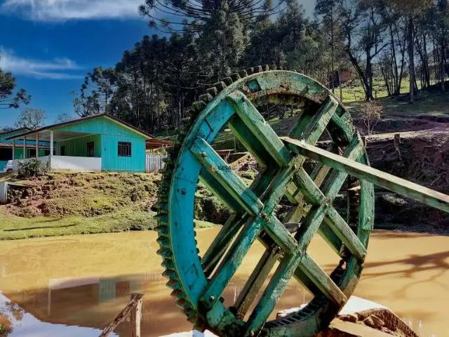 Sítio / Chácara para Venda em Campo Largo/PR Zona Rural 4 Quartos