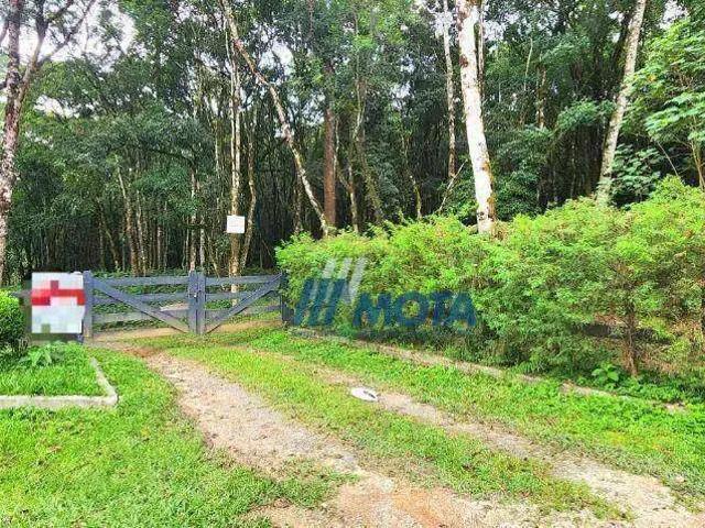 Sítio / Chácara para Venda em Campo Largo/PR Área Rural de Campo Largo