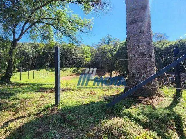 Sítio / Chácara para Venda em Campo Largo/PR Área Rural de Campo Largo
