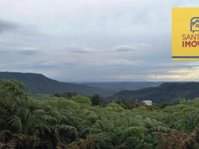 Sítio / Chácara para Venda em Campo Largo/PR Zona Rural