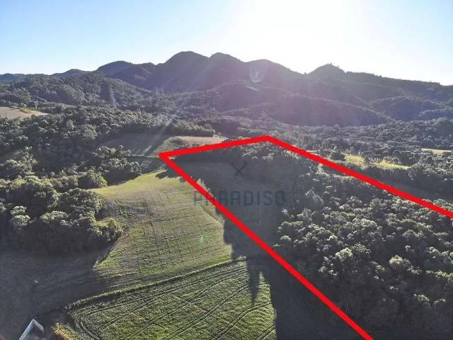 Sítio / Chácara para Venda em Campo Largo/PR Bateias