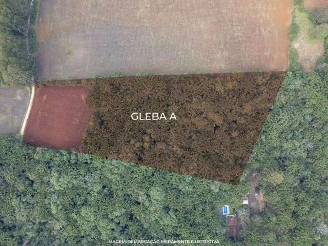 Sítio / Chácara para Venda em Campo Largo/PR Bateias