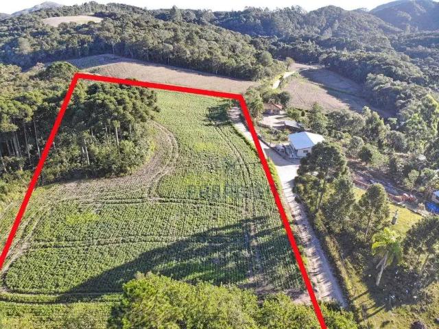 Sítio / Chácara para Venda em Campo Largo/PR Bateias