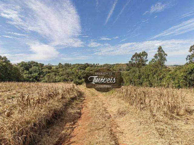 Sítio / Chácara para Venda em Campo Largo/PR Colônia Balbino Cunha