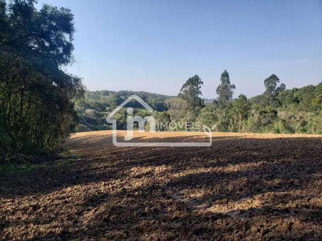Sítio / Chácara para Venda em Campo Largo/PR Colônia Balbino Cunha