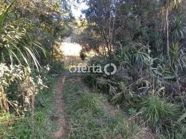 Sítio / Chácara para Venda em Campo Largo/PR Colônia Balbino Cunha