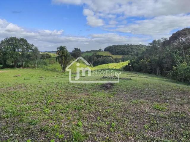 Sítio / Chácara para Venda em Campo Largo/PR Colônia Balbino Cunha