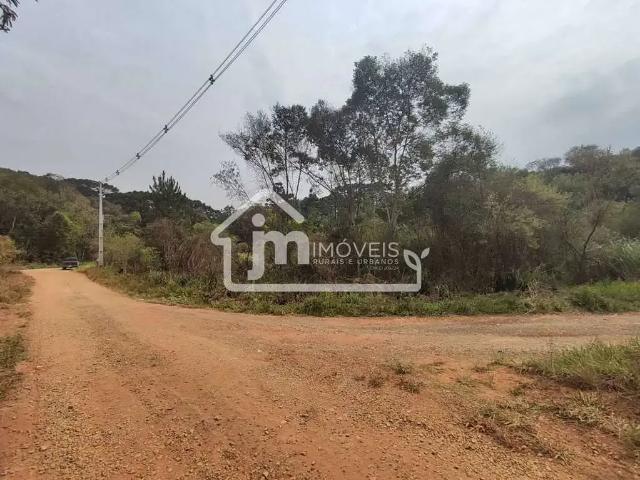 Sítio / Chácara para Venda em Campo Largo/PR Colônia Dom Pedro II