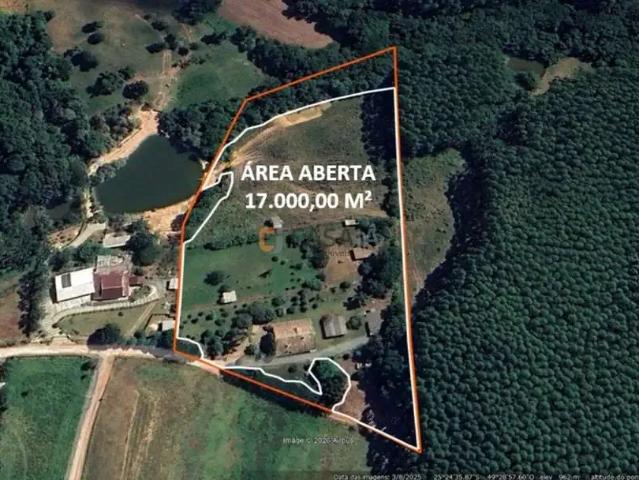 Sítio / Chácara para Venda em Campo Largo/PR Fazendinha 5 Quartos
