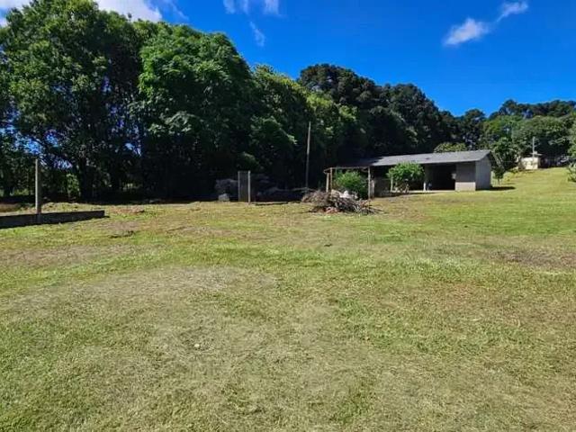 Sítio / Chácara para Venda em Campo Largo/PR Fazendinha