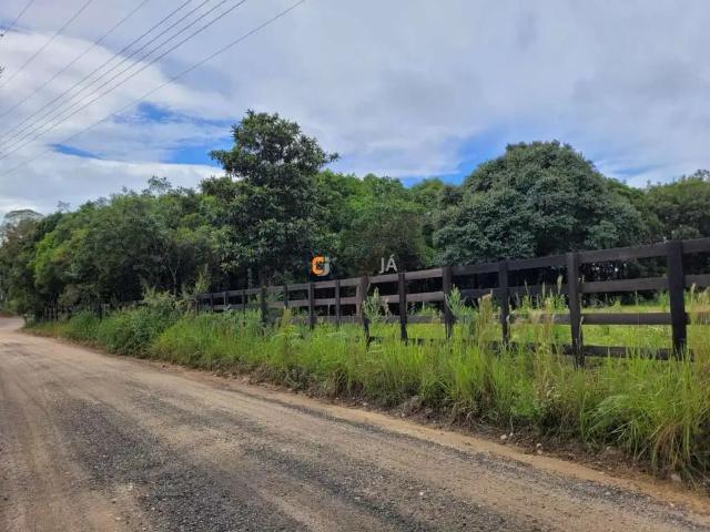 Sítio / Chácara para Venda em Campo Largo/PR Felpudo 1 Quartos