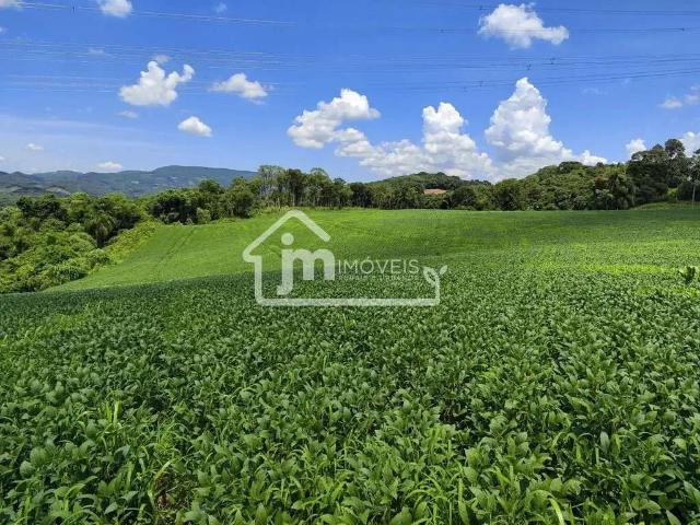 Sítio / Chácara para Venda em Campo Largo/PR Felpudo