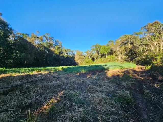 Sítio / Chácara para Venda em Campo Largo/PR Felpudo