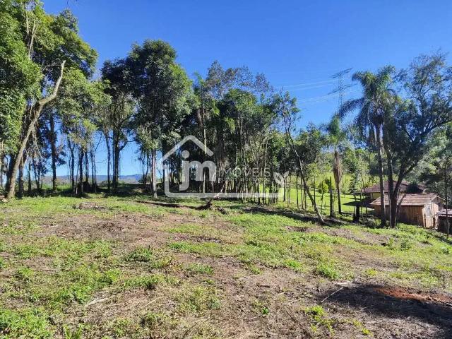 Sítio / Chácara para Venda em Campo Largo/PR Felpudo