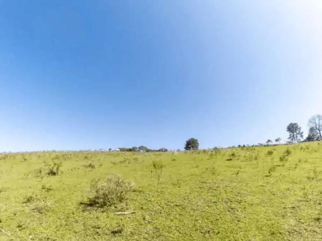 Sítio / Chácara para Venda em Campo Largo/PR Ferraria 1 Quartos