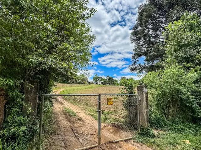 Sítio / Chácara para Venda em Campo Largo/PR Ferraria 3 Quartos