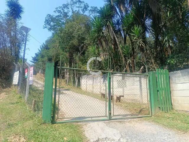 Sítio / Chácara para Venda em Campo Largo/PR Itambezinho