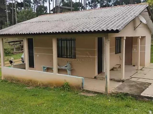 Sítio / Chácara para Venda em Campo Largo/PR Itambé