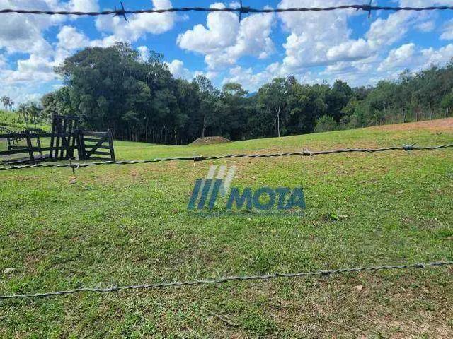 Sítio / Chácara para Venda em Campo Largo/PR Itaqui de Cima