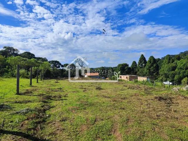 Sítio / Chácara para Venda em Campo Largo/PR Itaqui de Cima