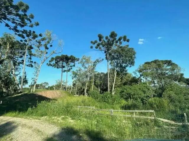 Sítio / Chácara para Venda em Campo Largo/PR Itaqui de Cima