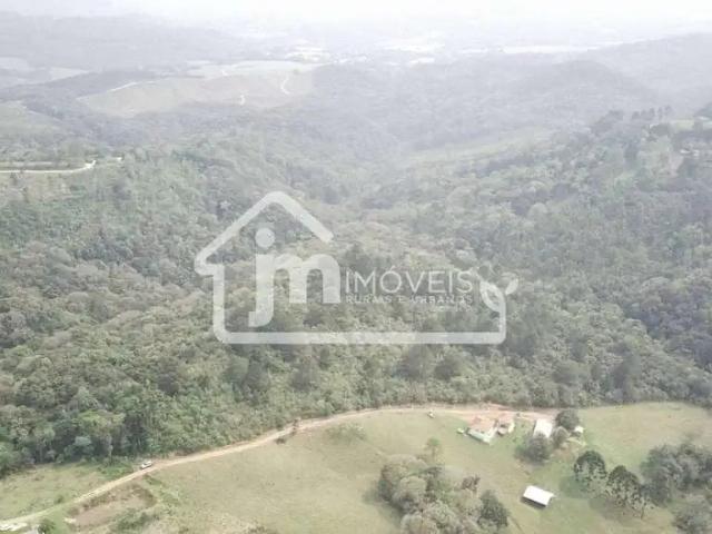 Sítio / Chácara para Venda em Campo Largo/PR Itaqui de Cima