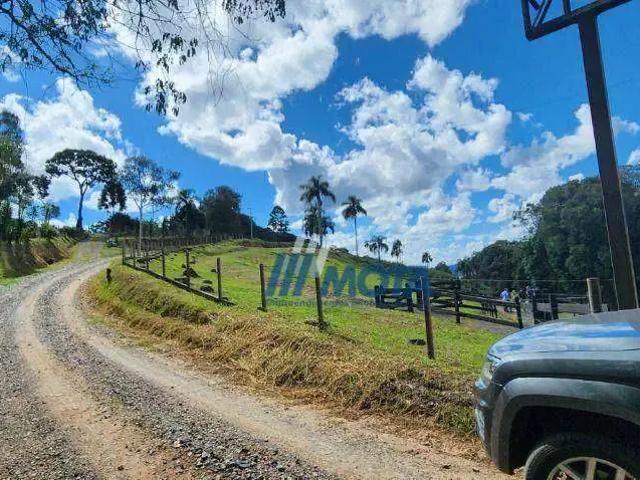 Sítio / Chácara para Venda em Campo Largo/PR Itaqui de Cima