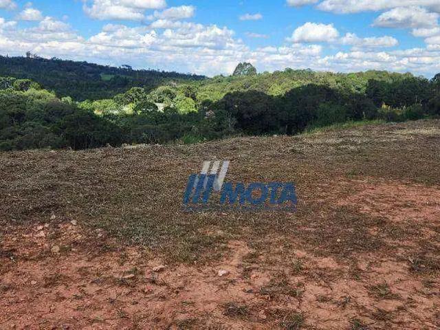 Sítio / Chácara para Venda em Campo Largo/PR Itaqui de Cima