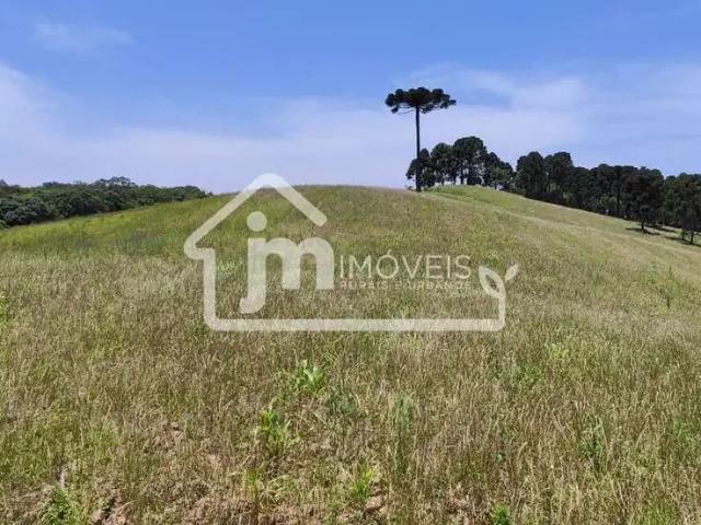 Sítio / Chácara para Venda em Campo Largo/PR Itaqui de Cima 3 Quartos
