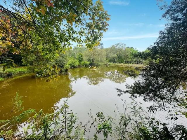 Sítio / Chácara para Venda em Campo Largo/PR Jardim Bela Vista 2 Quartos
