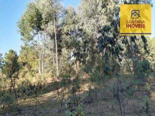 Sítio / Chácara para Venda em Campo Largo/PR Jardim Florestal 1 Quartos