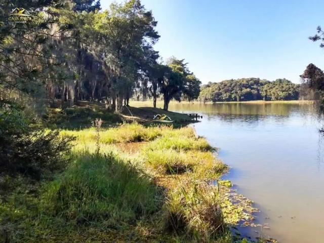 Sítio / Chácara para Venda em Campo Largo/PR Jardim Florestal 1 Quartos