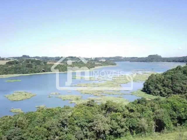 Sítio / Chácara para Venda em Campo Largo/PR Jardim Florestal