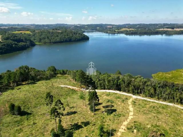 Sítio / Chácara para Venda em Campo Largo/PR Jardim Florestal