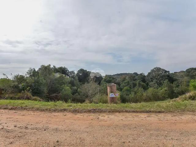 Sítio / Chácara para Venda em Campo Largo/PR Jardim Florestal