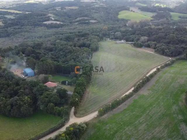 Sítio / Chácara para Venda em Campo Largo/PR Jardim Florestal 4 Quartos